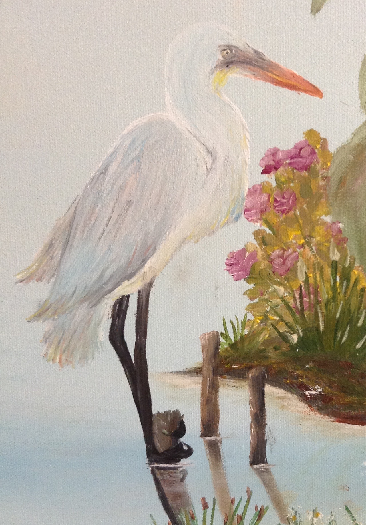 MPB Art Gallery - Dr Maria Barbosa