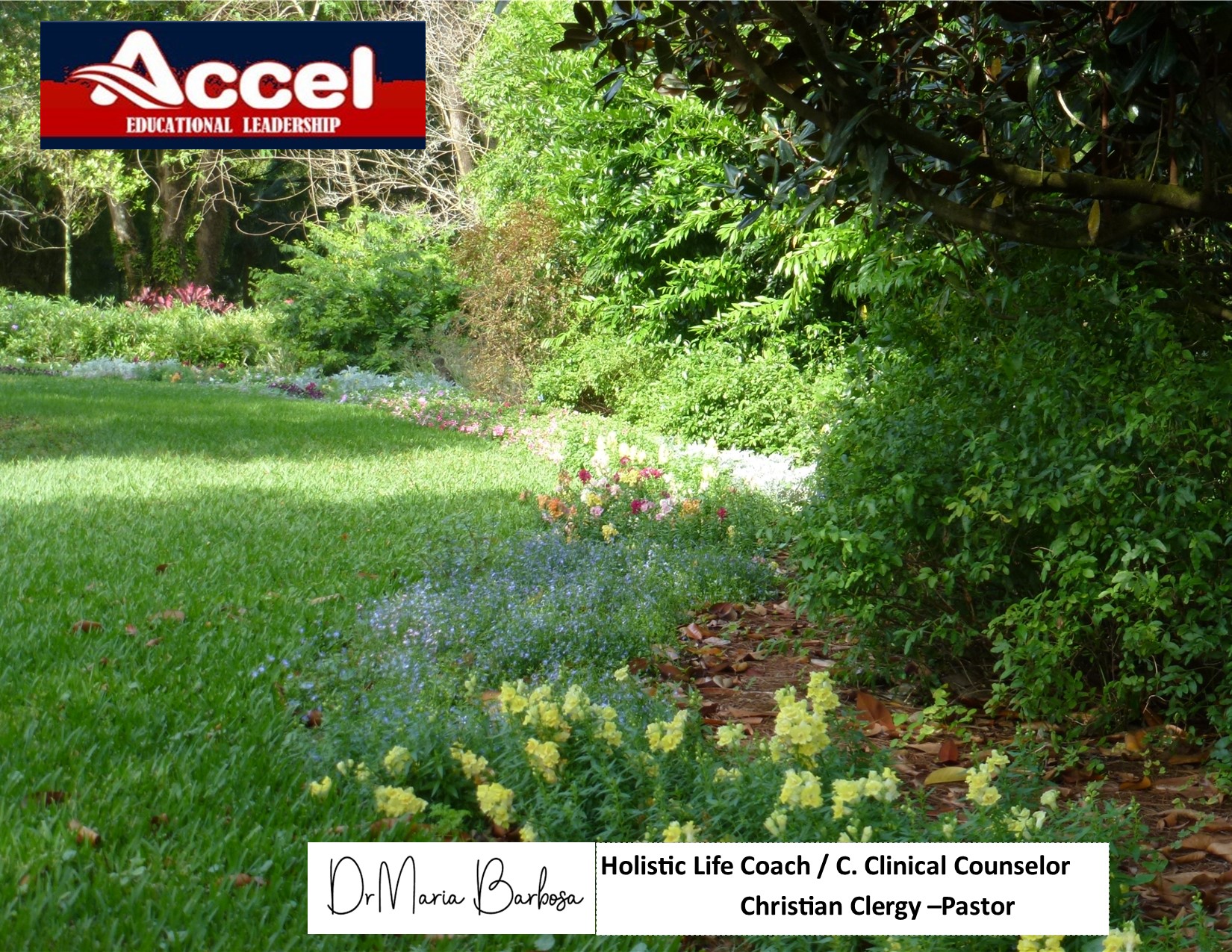 Causes of Fear - Dr Maria Barbosa